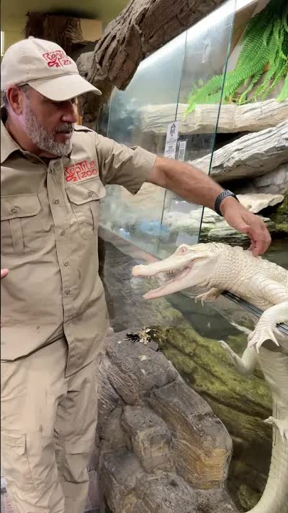 I am not your food coconut! 🐊 🥥 She is an eating machine!