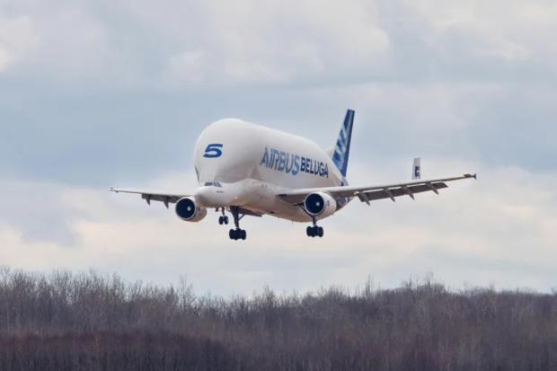 Here's what the future holds for the iconic BelugaST 5 following it's ...