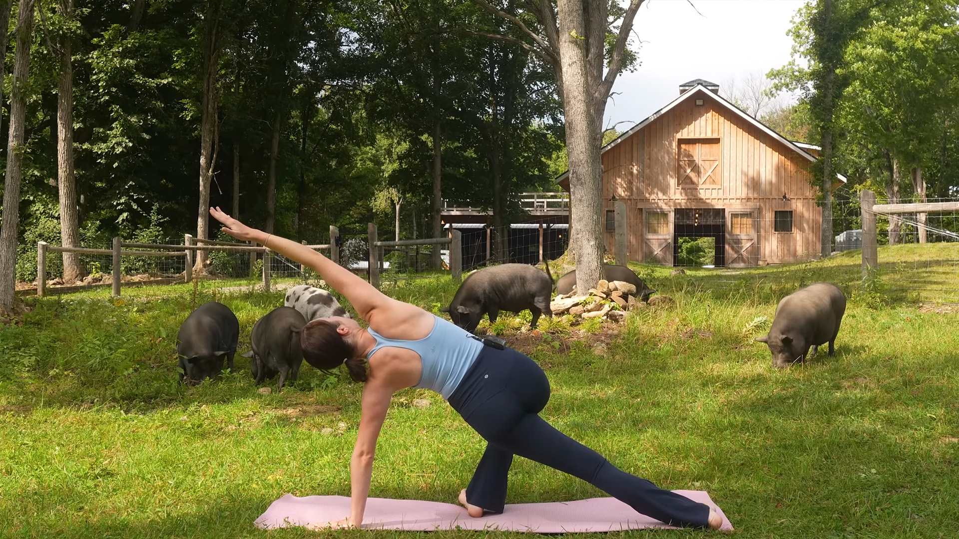 Intermediate full body yoga flow for animal charity