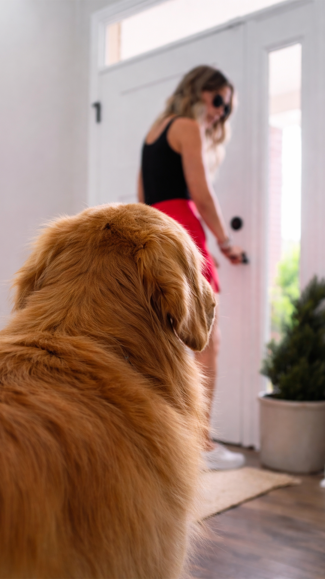 My dog acting like I’m gone forever