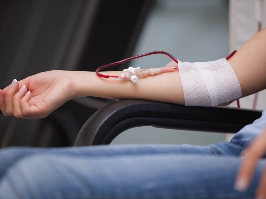 Assembly member announces community blood drive during National Blood ...
