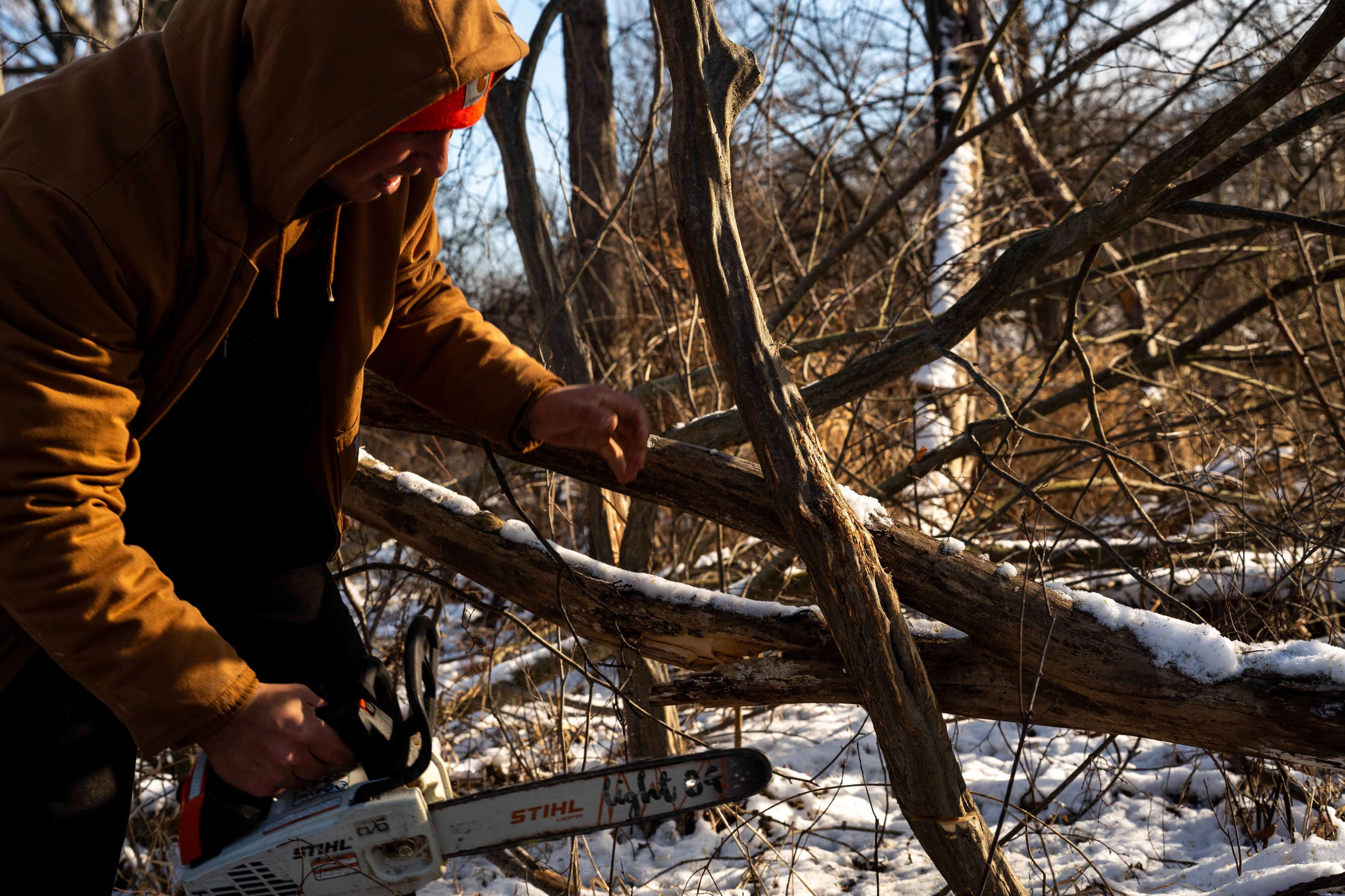 Bringing back trout: How tree limbs, boulders are saving this Michigan ...