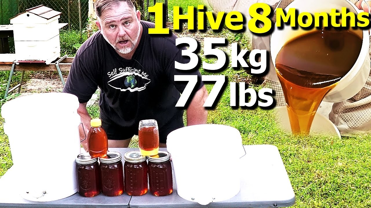 How to grow a ton of honey with one beehive in just 8 months!