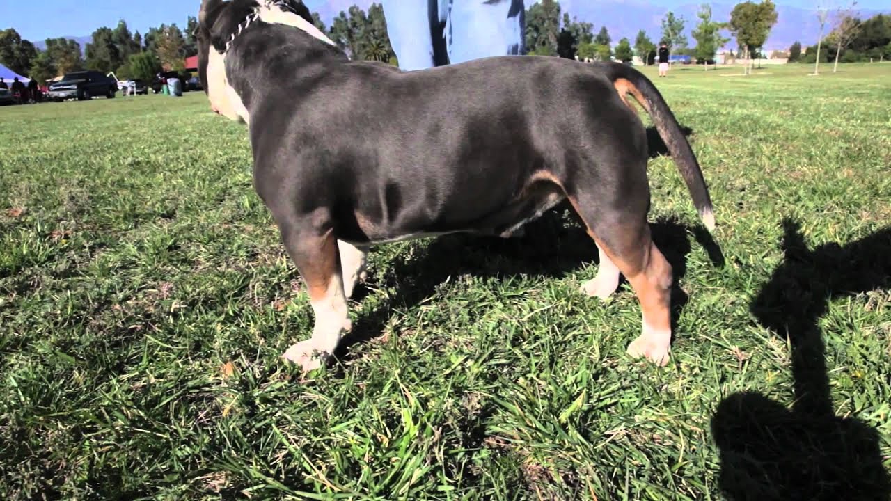 The best of Razor's Edge part 1