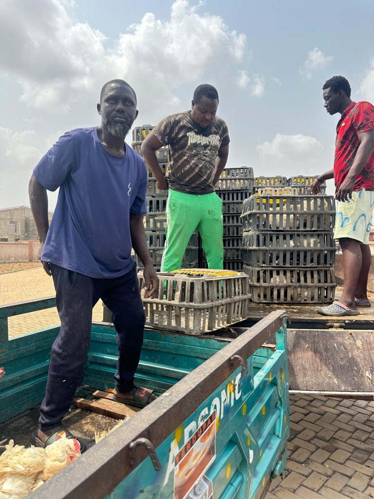 Asokore-Mampong Municipal distributes over 9,000 birds under Nkoko ...