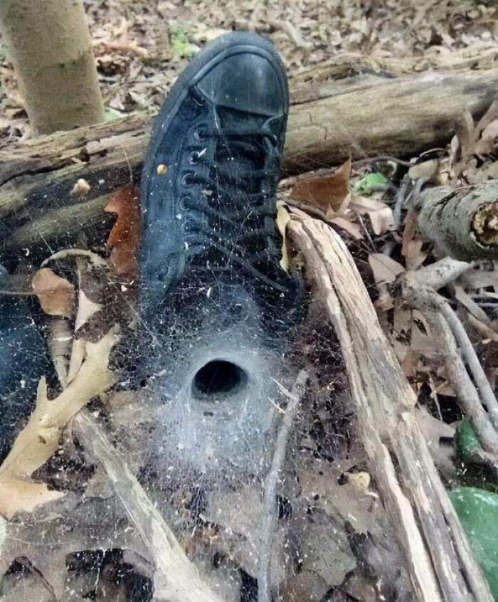 41 images for those venturing beyond the blessings of the internet