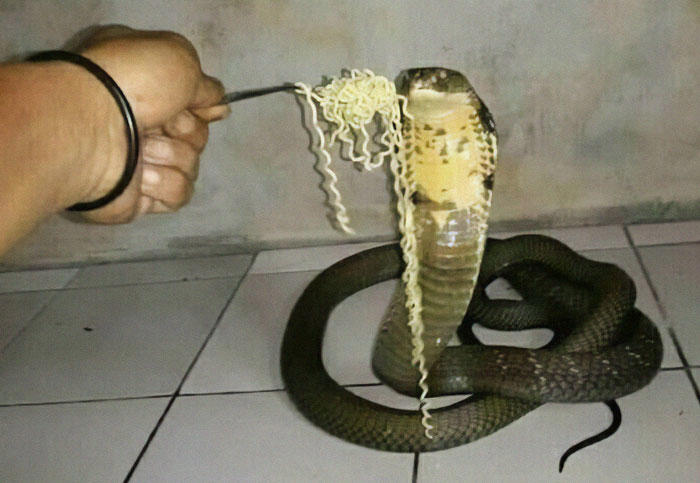 41 images for those venturing beyond the blessings of the internet
