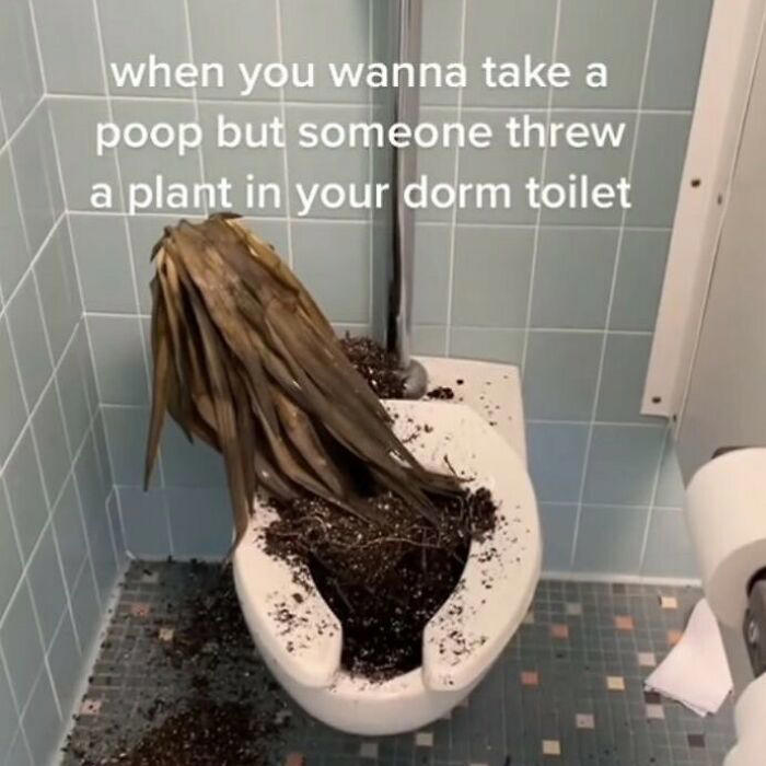41 images for those venturing beyond the blessings of the internet