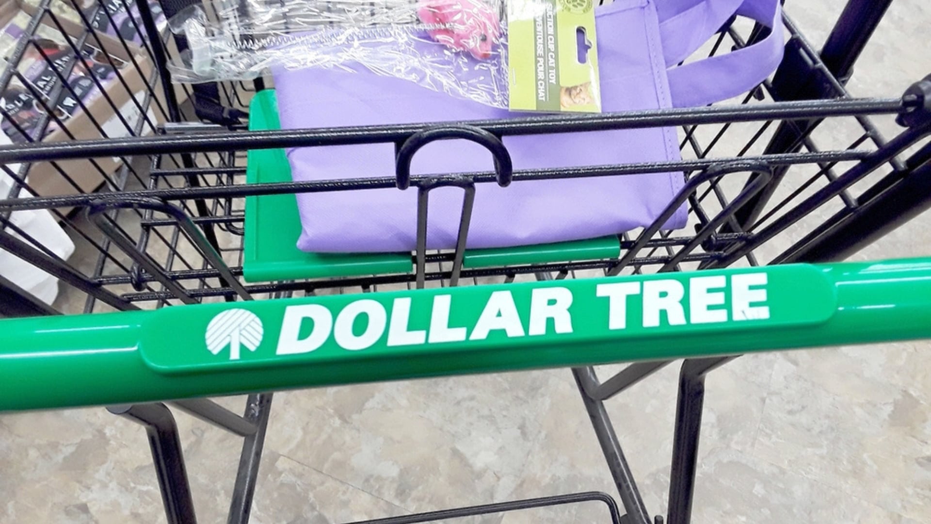 Why high-income households are shopping at Dollar Tree and what you ...