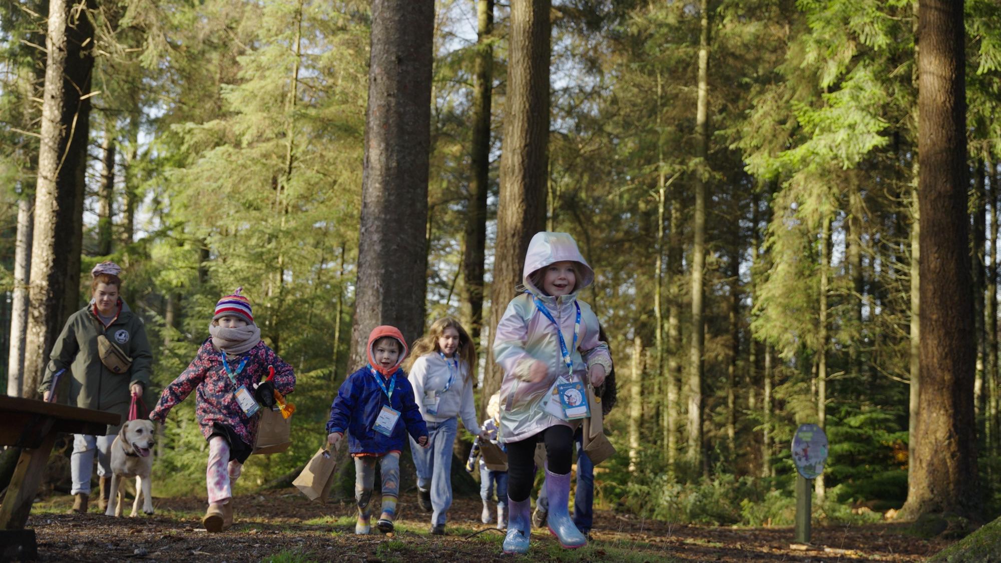 Forestry England Hamsterley launches magical Room on the Broom trail