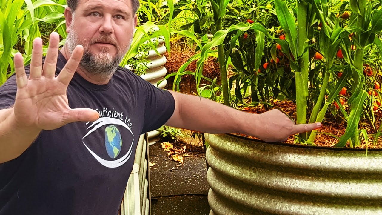 5 underplanting examples to grow vegetables out of season & save space