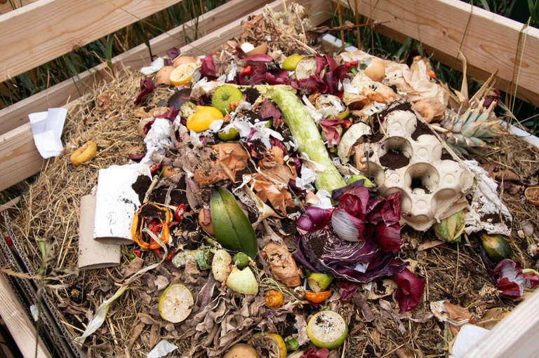 Garden expert shares important tea bag advice to anyone who puts them ...