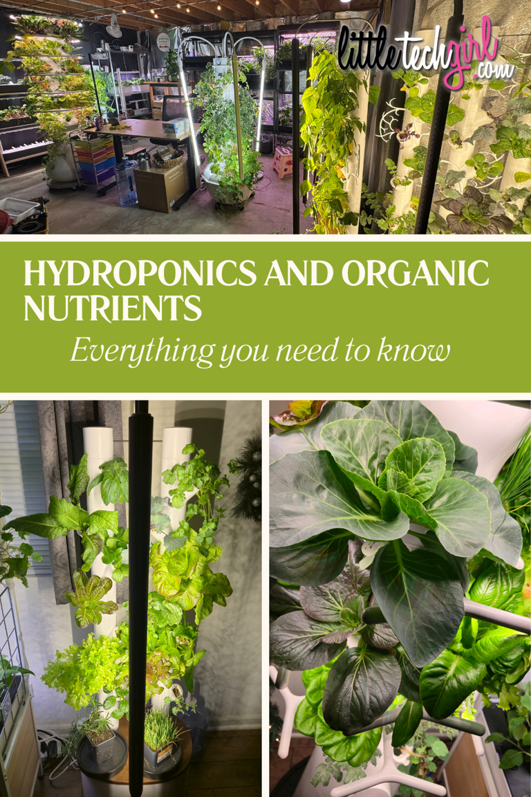 Hydroponics and organic nutrients: Everything you need to know