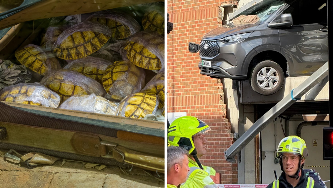 30 times people were arrested for the weirdest reasons imaginable