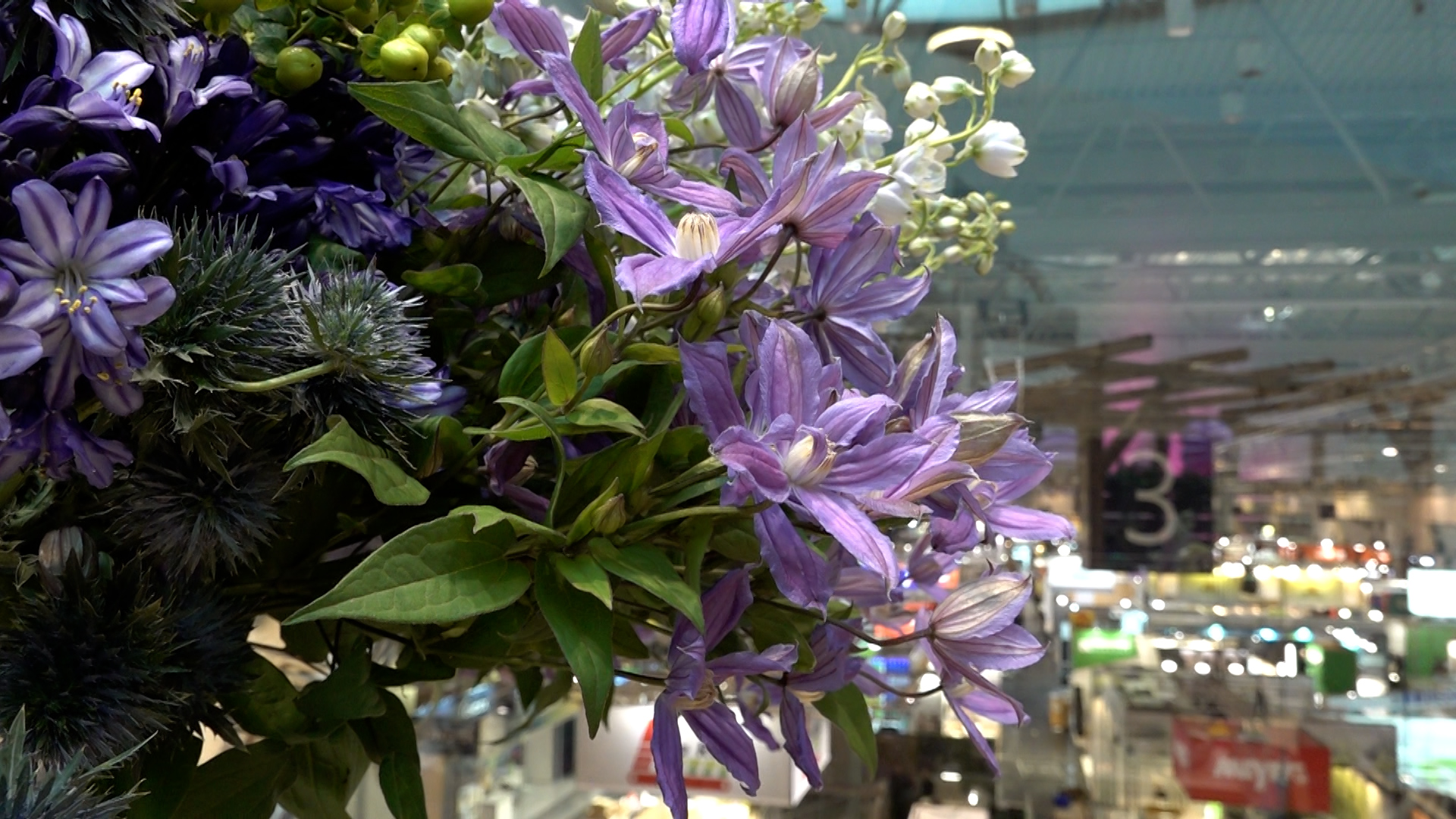 Blumen kaufen: Trend auf Pflanzenmesse Essen