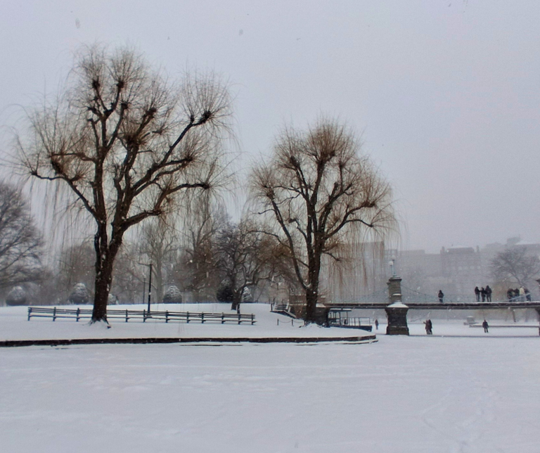 Readers share their best photos from Boston’s winter storm