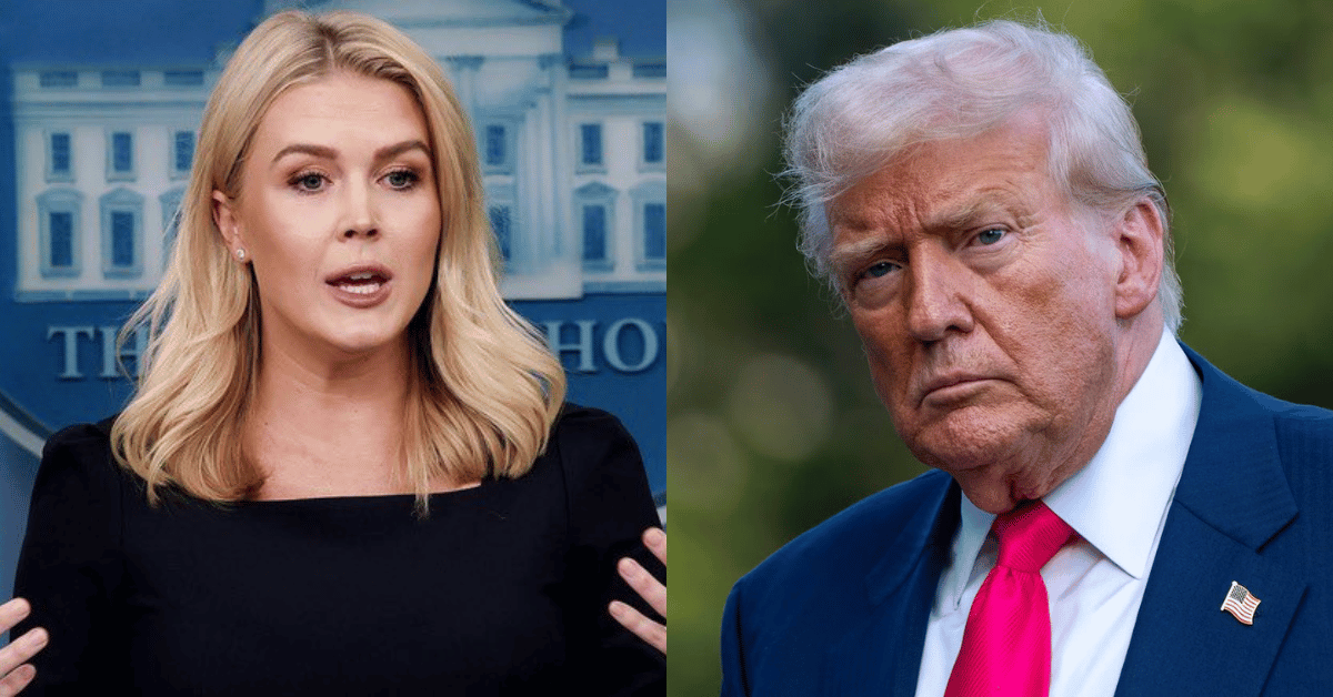 Karoline Leavitt asked to ‘resign’ after amplifying Trump’s hardline ...