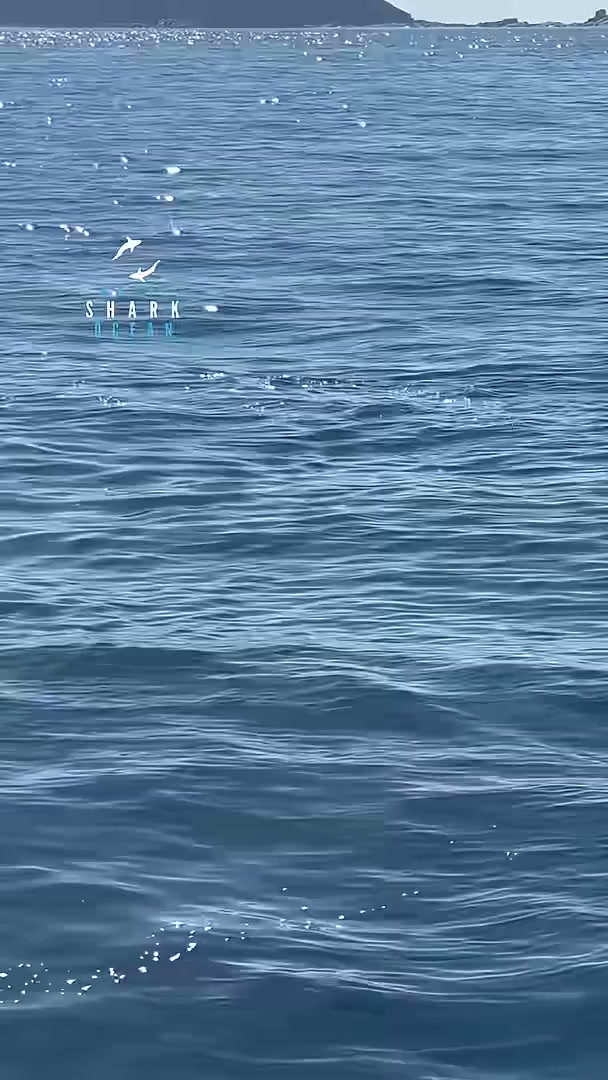 Great white harassing the birds