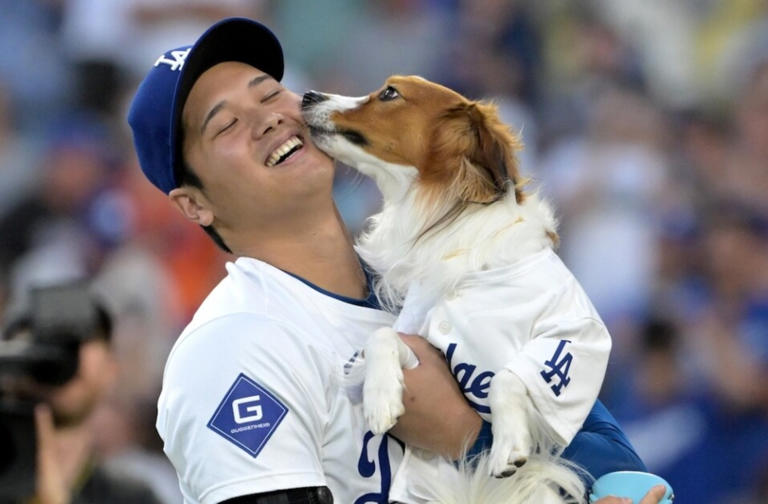 Decoy wins ‘most valuable dog’ award