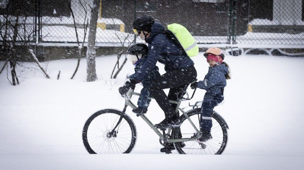 Power expected to be restored to most customers by end of day, Hydro ...