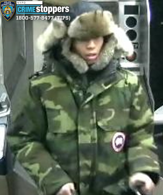 Union Square dog attack: Owner sics canine onto straphanger in vicious ...