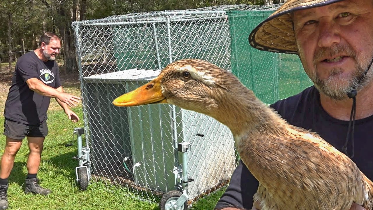 Mobile duck tractor experiment is over