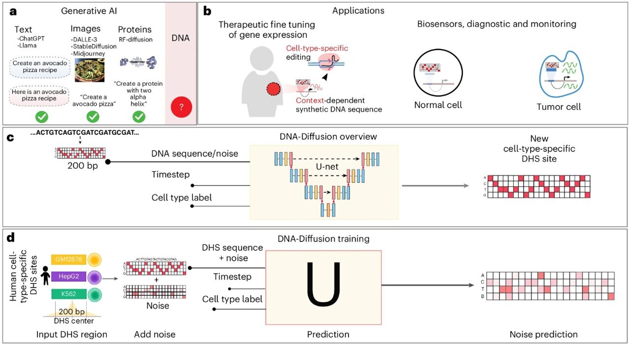 AI generates short DNA sequences that show promise for gene therapies