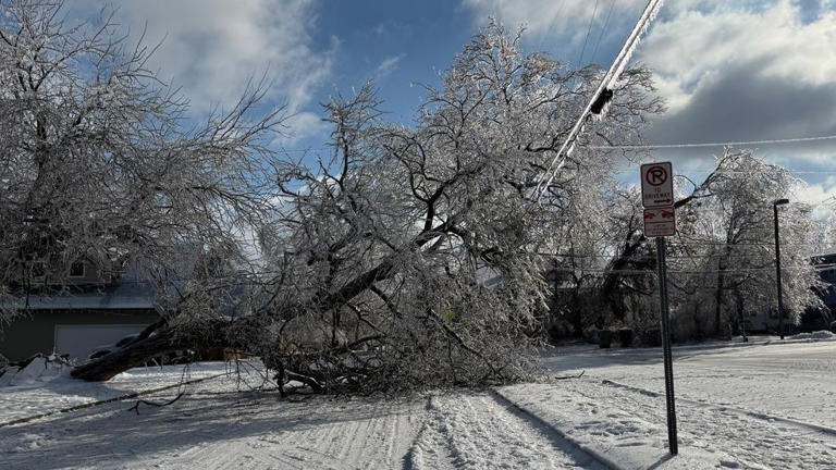Ice storm damage visible across Belmont–Hillsboro as NES crews work to ...