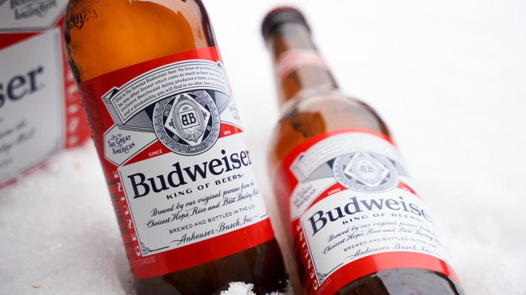 14 Anheuser-Busch beers, ranked