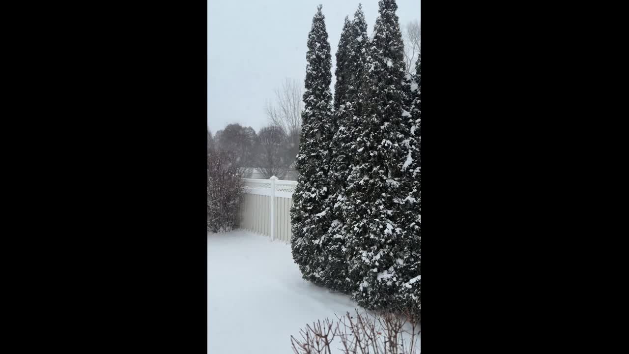 Heavy snowfall blankets Long Island during Winter Storm Fern, USA