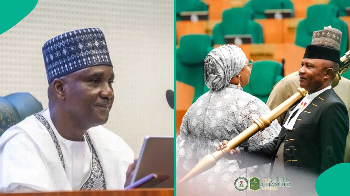 Breakdown of 13 newly proposed LGAs that successfully scaled second ...