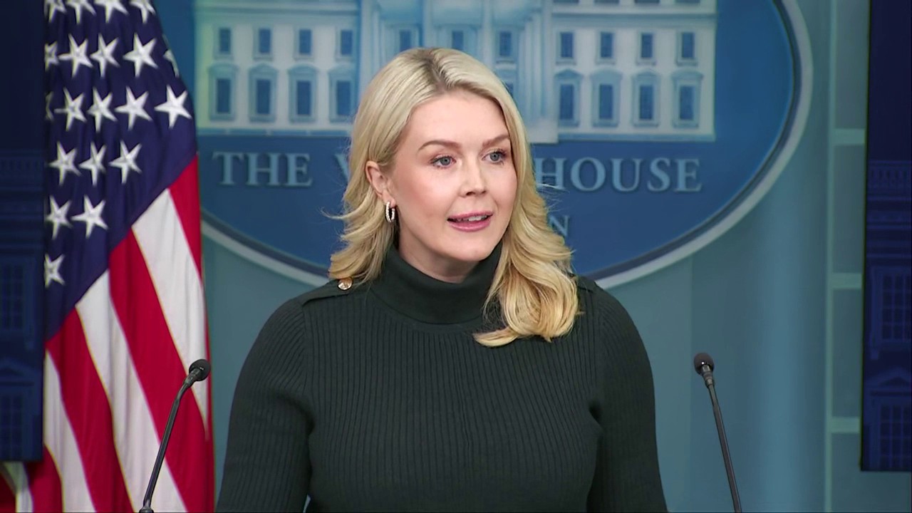 White House blames Minnesota Democrat leaders after deadly shooting