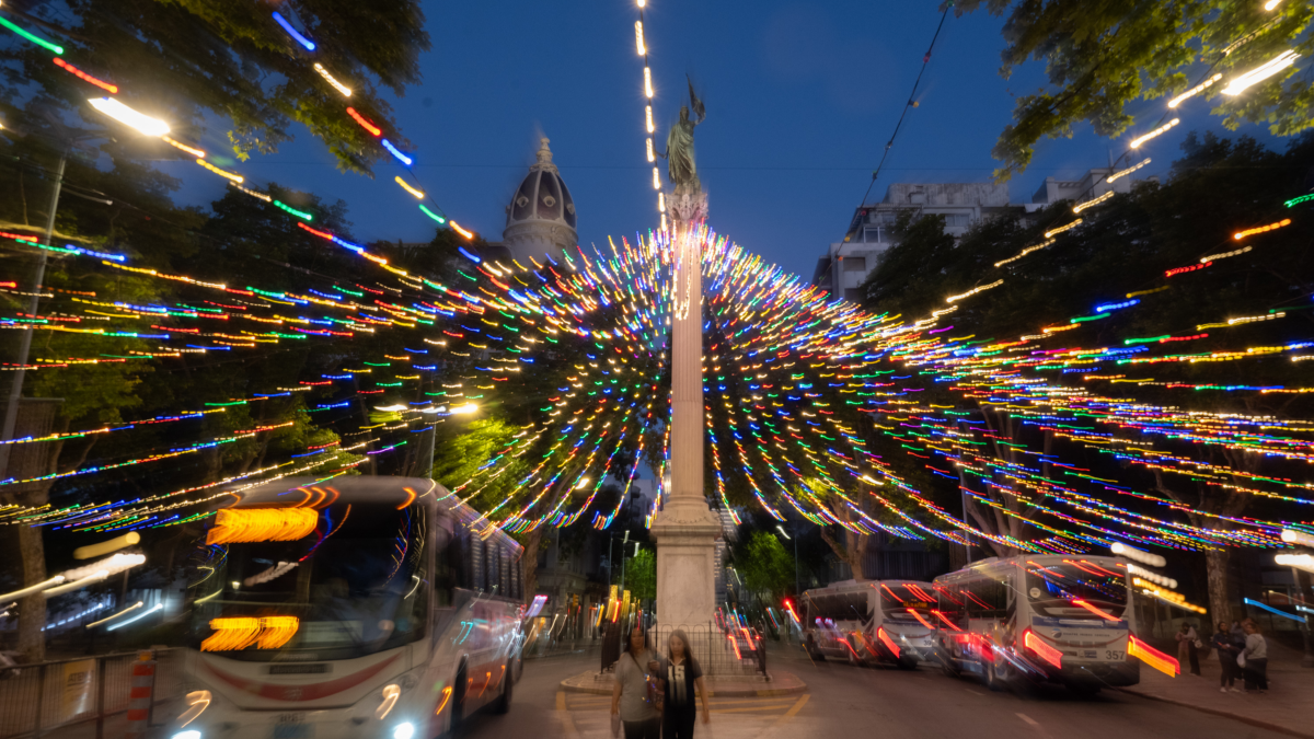 Conocé los servicios especiales de transporte tras el Concurso Oficial ...