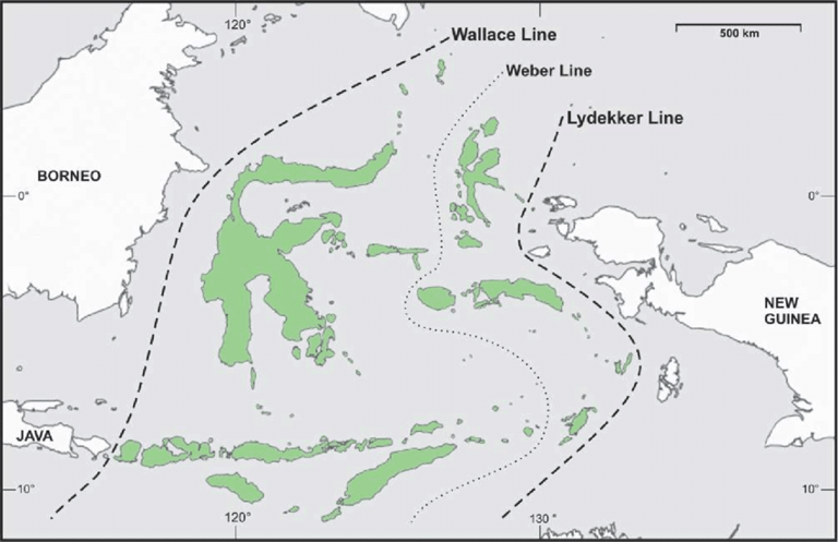 The Wallace Line forms an invisible barrier that keeps tigers and ...