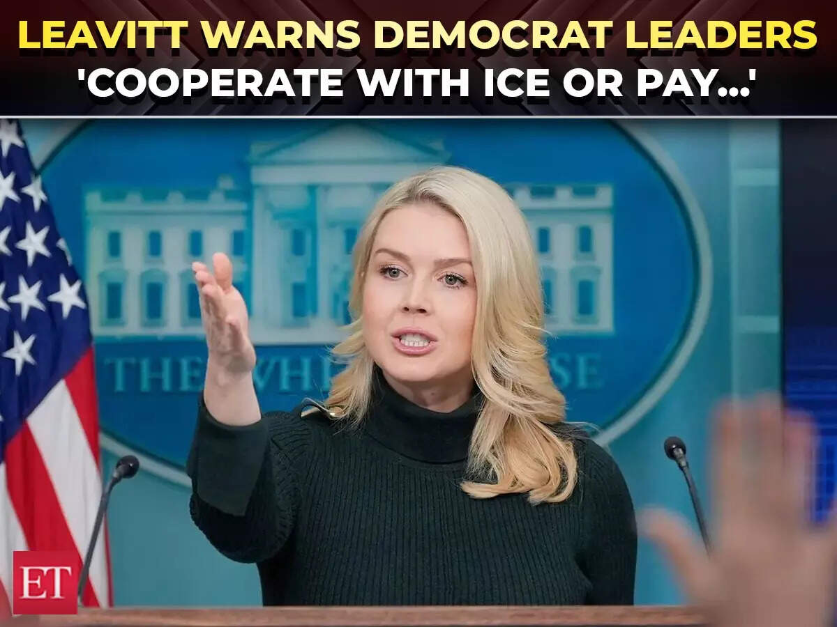 'Lawlessness has consequences': Leavitt unloads on Minnesota Dems ...