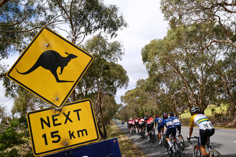 Ripped-up scripts, menacing kangaroos and performances as hot as the ...