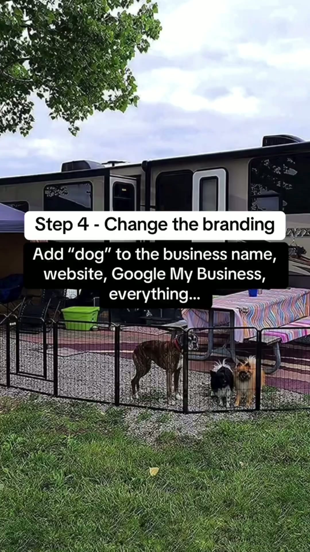 Dog lovers — what do you think of this idea? 👀