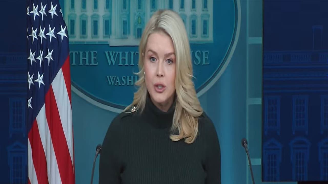 White House blames Minnesota Democrats for deadly ICE encounters