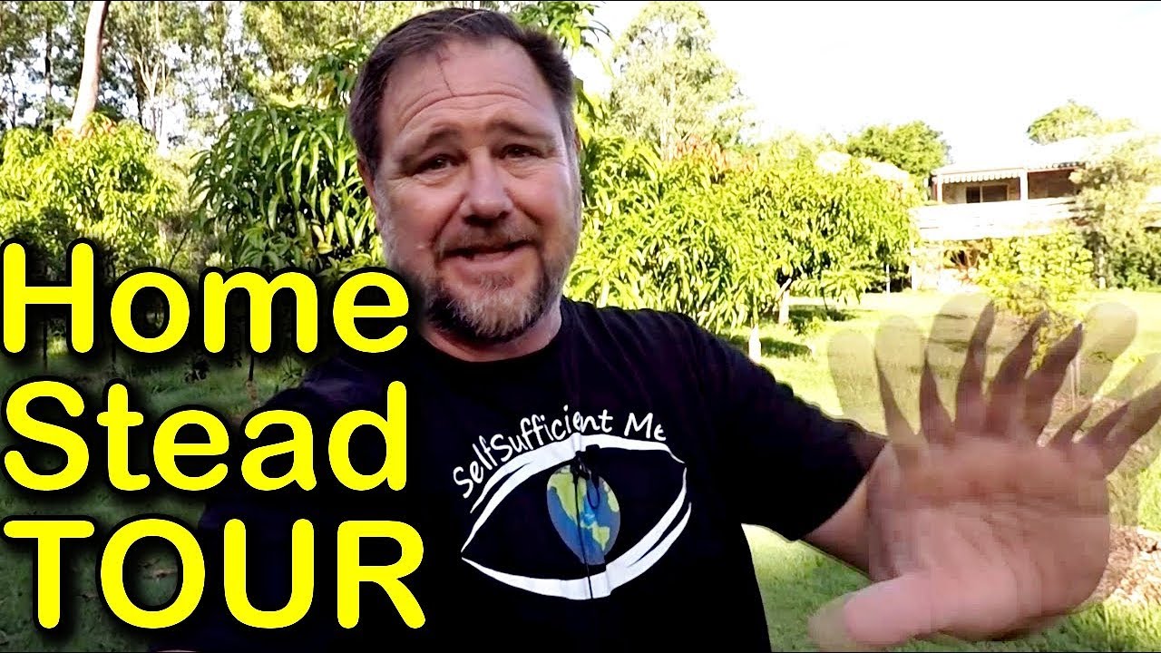 Homestead tour food garden walk around fruit trees vegetable growing vlog