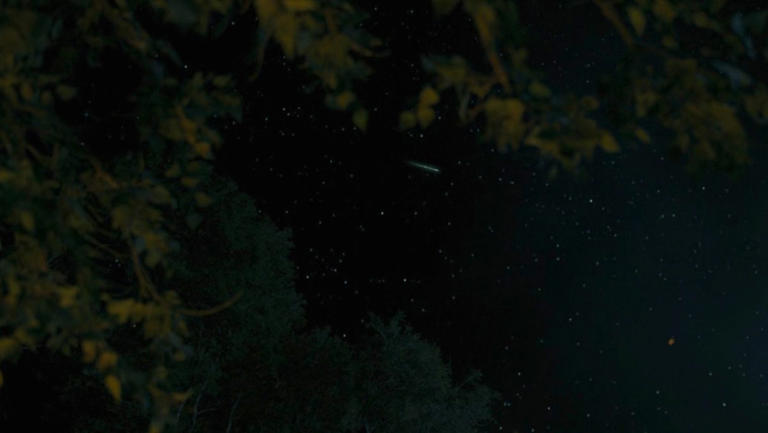 The meaning of Dunk's sigil in 'A Knight of the Seven Kingdoms'