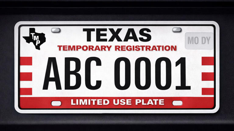 Texas replaced paper tags for metal, now the fake ones look even more real