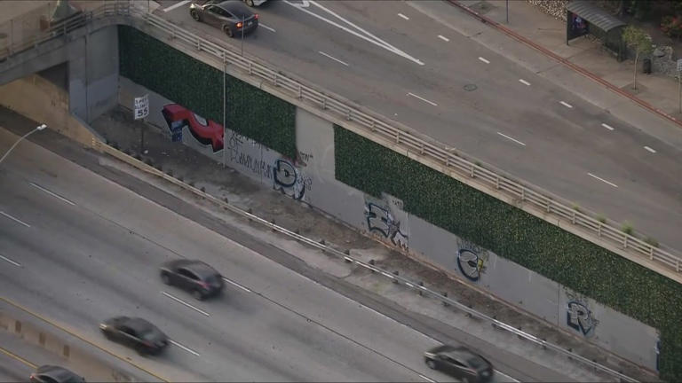 Graffiti-proof ivy was installed along a busy LA freeway. It didn’t ...