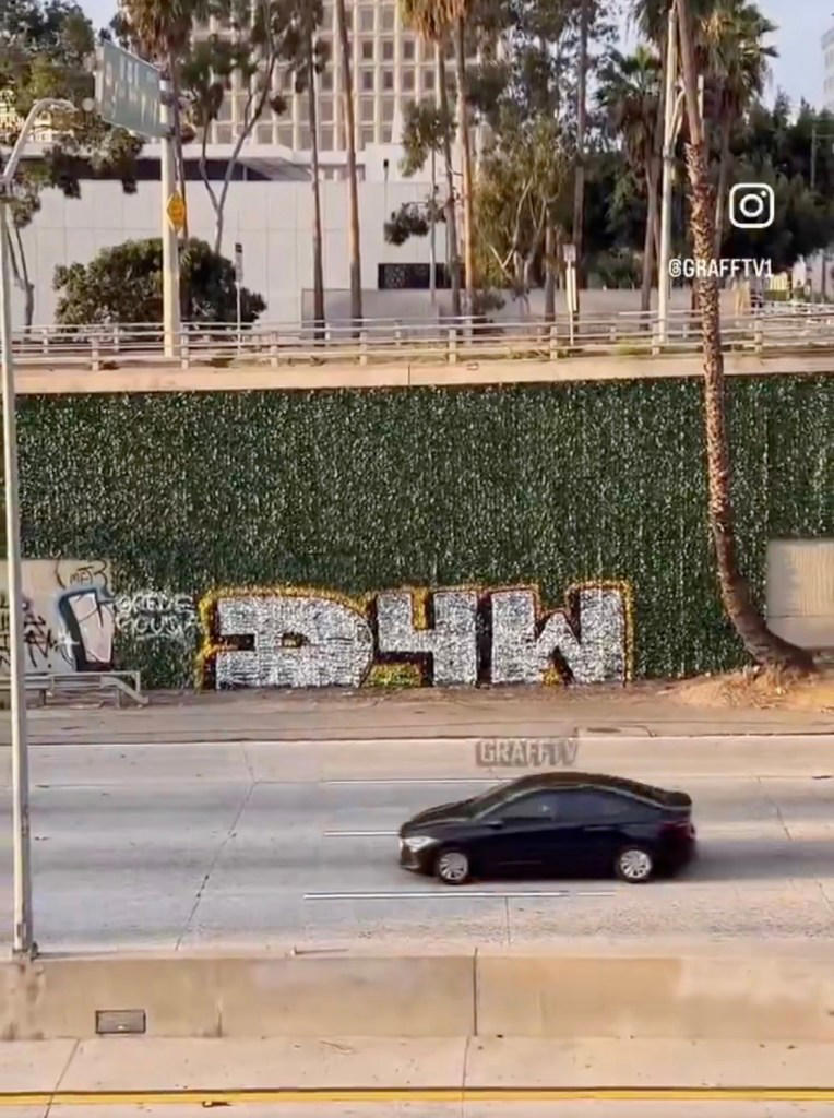 Gavin Newsom mocked for anti-vandalism fail as taggers immediately ...
