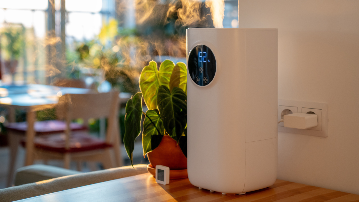 Dry skin, allergies, or congestion? The right air device makes all the ...