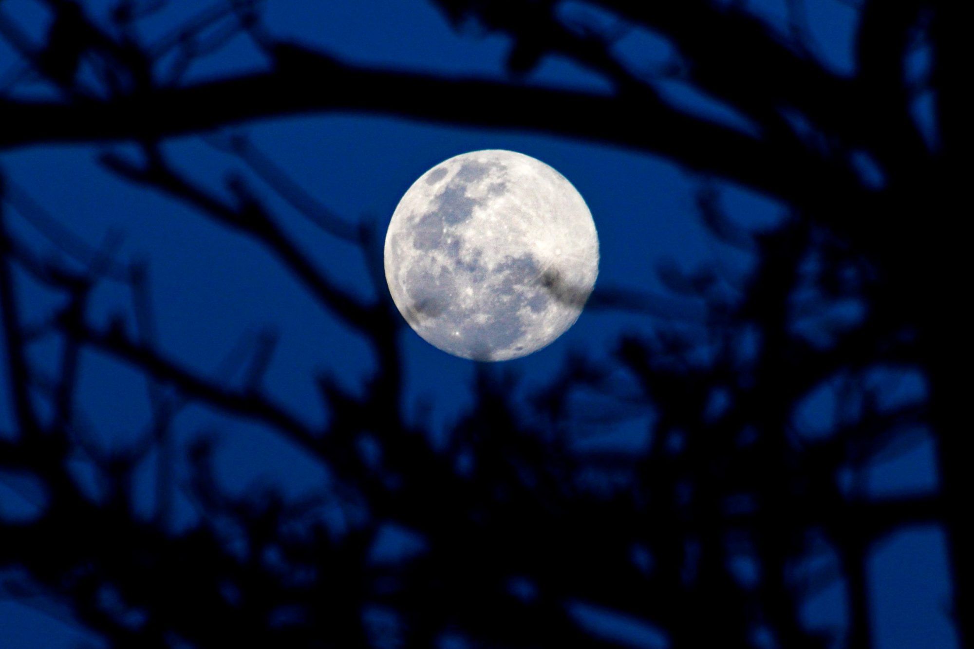 How to watch the full moon rise alongside a royal star this week