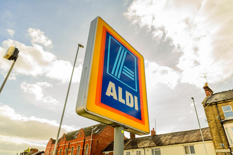 Aldi's new plant trellis adds celestial charm to your garden