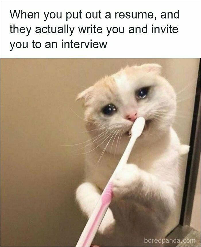 52 hilarious resume memes that might be painfully relatable