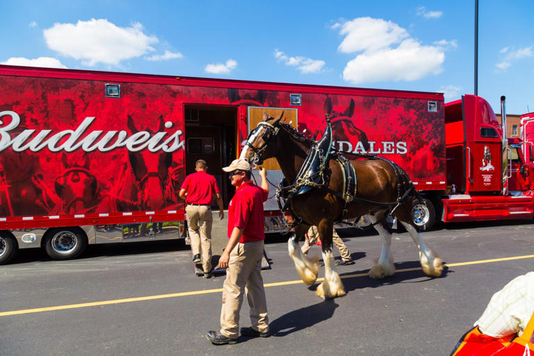 Budweiser fans applaud brand’s Super Bowl commercial after controversy