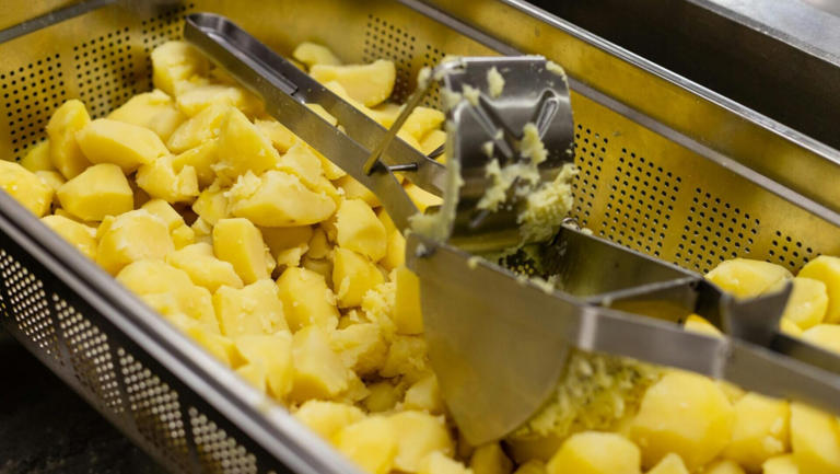 FDA issues massive recall of frozen tater tots, over 1 million pounds ...