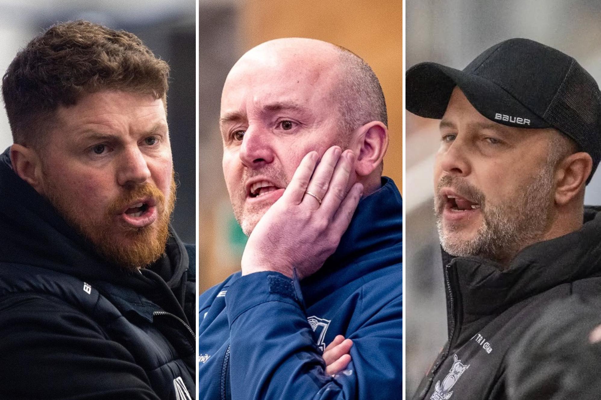 Win, win, win - Sheffield Steeldogs, Leeds Knights and Hull Seahawks ...